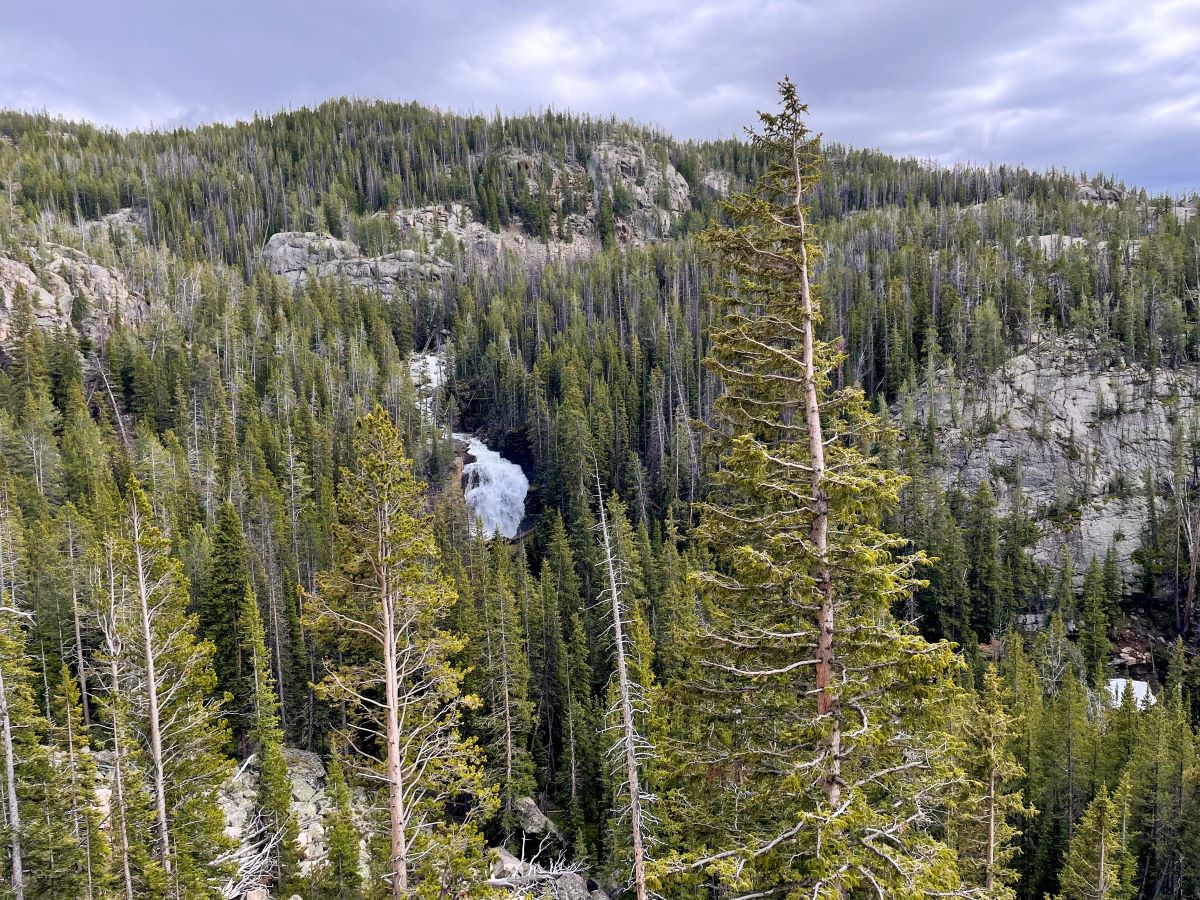 Beartooth Highway Scenic Drive Guide (With Tips & Photos!) - Engineer ...