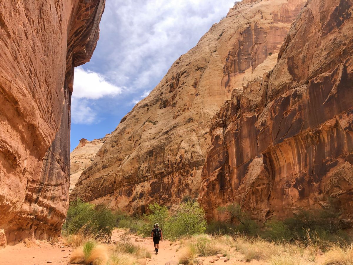 10 Best Hikes in Capitol Reef National Park - Engineer to Explore
