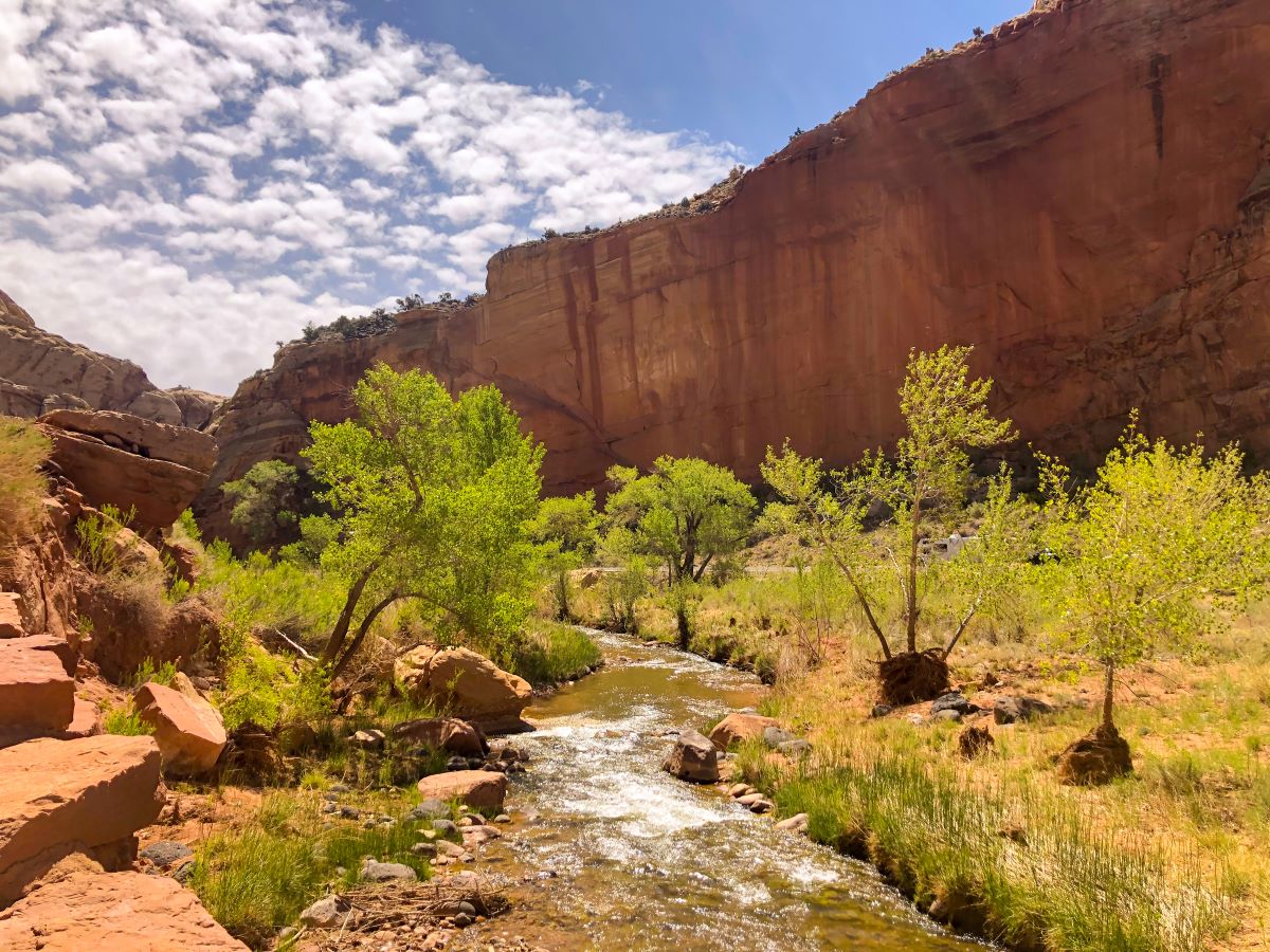 Capitol Reef Itinerary: How to Spend 1-4 Days at Capitol Reef National ...