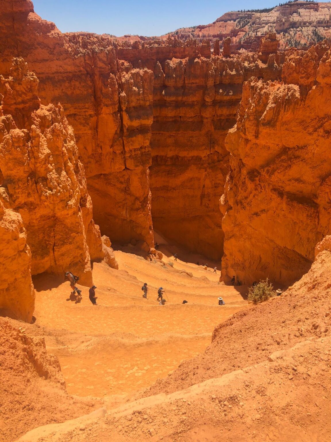 Capitol Reef to Bryce Canyon Road Trip: Epic 9 Days on Utah Scenic ...