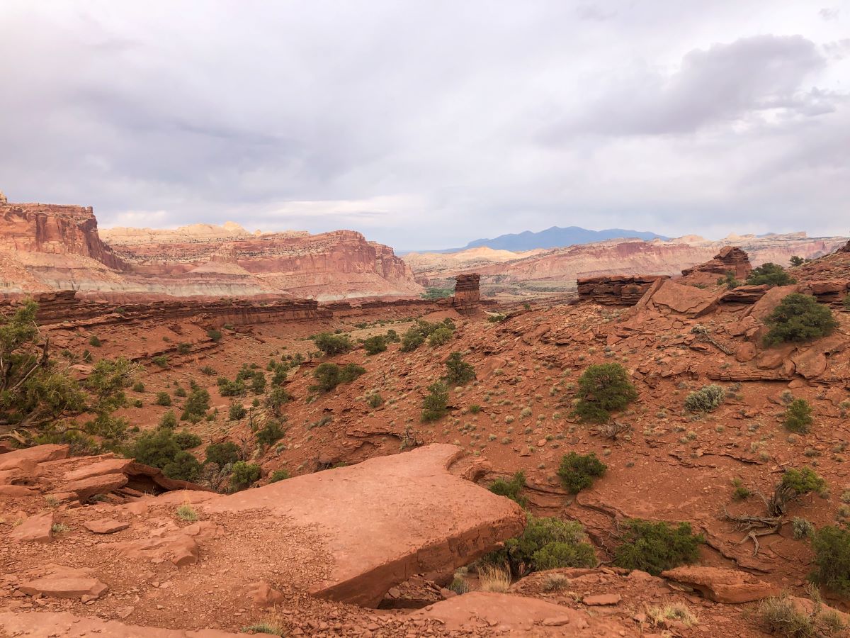 Capitol Reef Itinerary: How to Spend 1-4 Days at Capitol Reef National ...