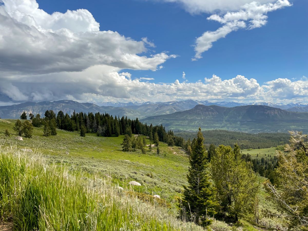 Beartooth Highway Scenic Drive Guide (With Tips & Photos!) - Engineer ...