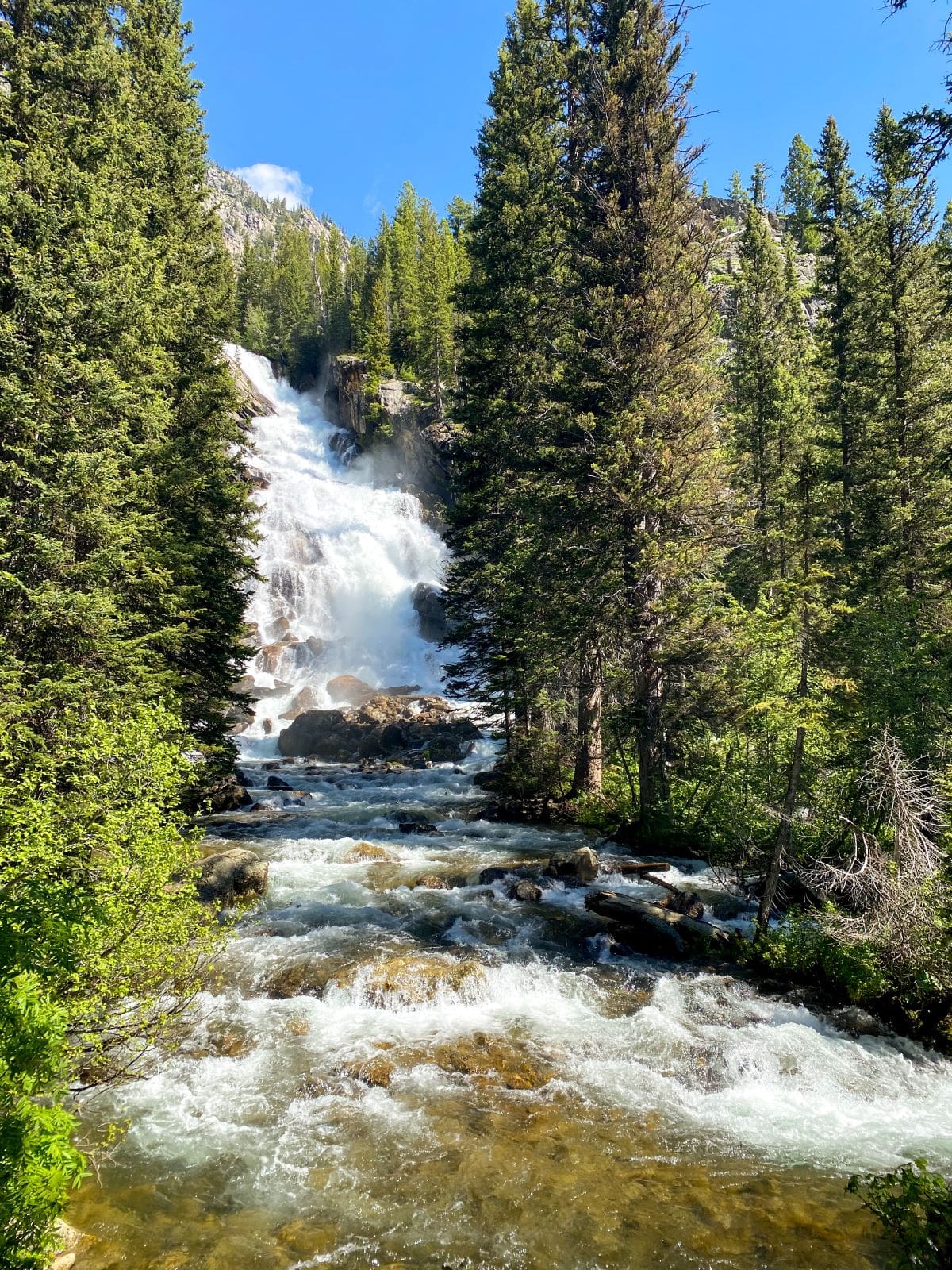 The Ultimate 9-Day Yellowstone and Grand Teton Itinerary (+ Maps ...