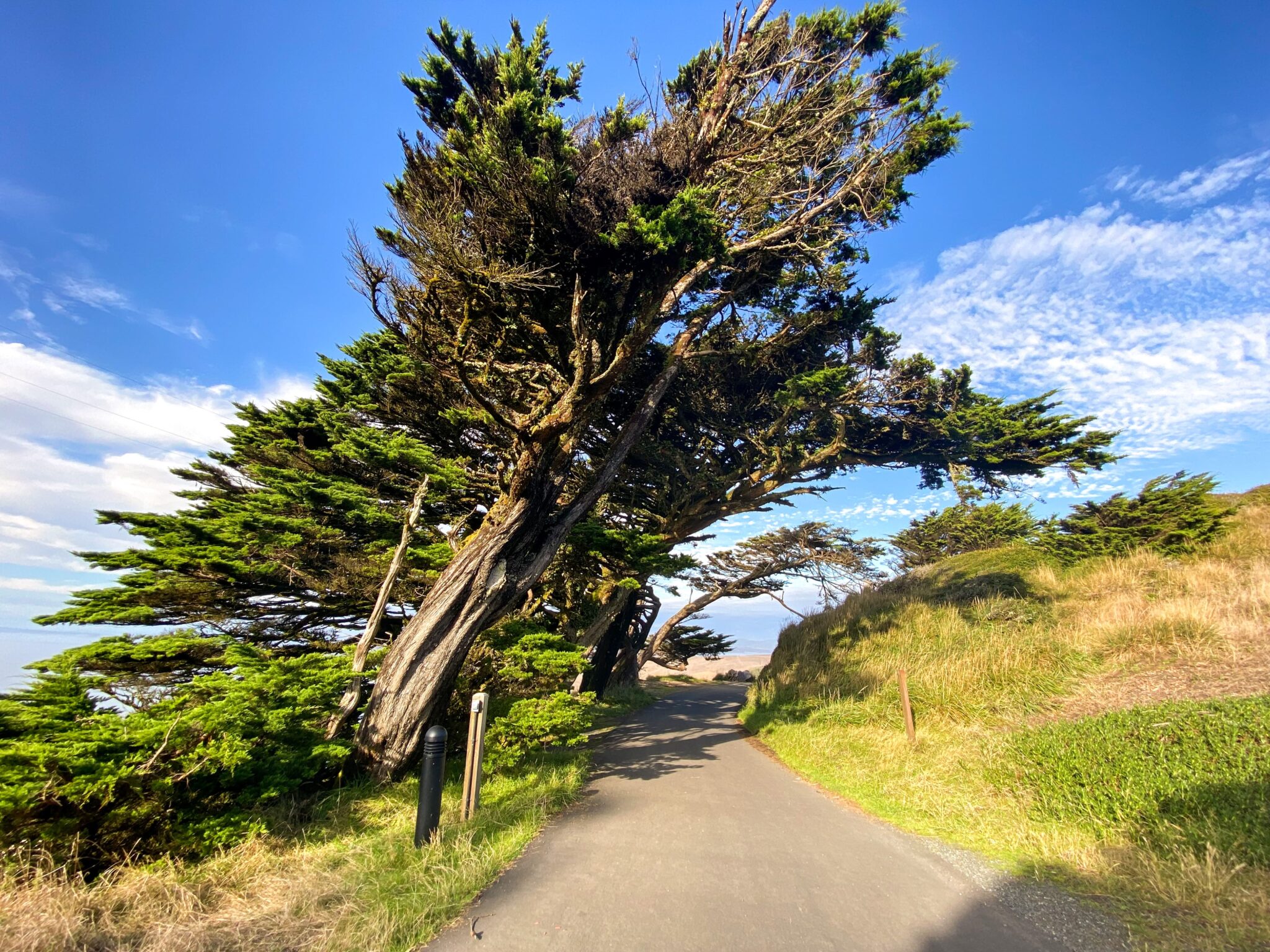 The Ultimate Point Reyes Day Trip Itinerary - Engineer to Explore