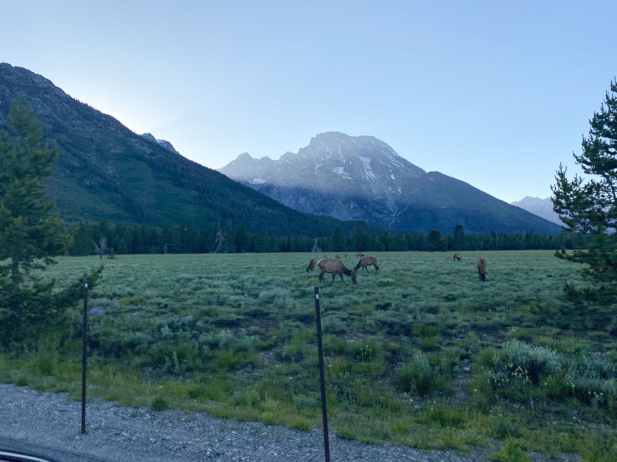 15 Best Things to Do in Grand Teton National Park - Engineer to Explore