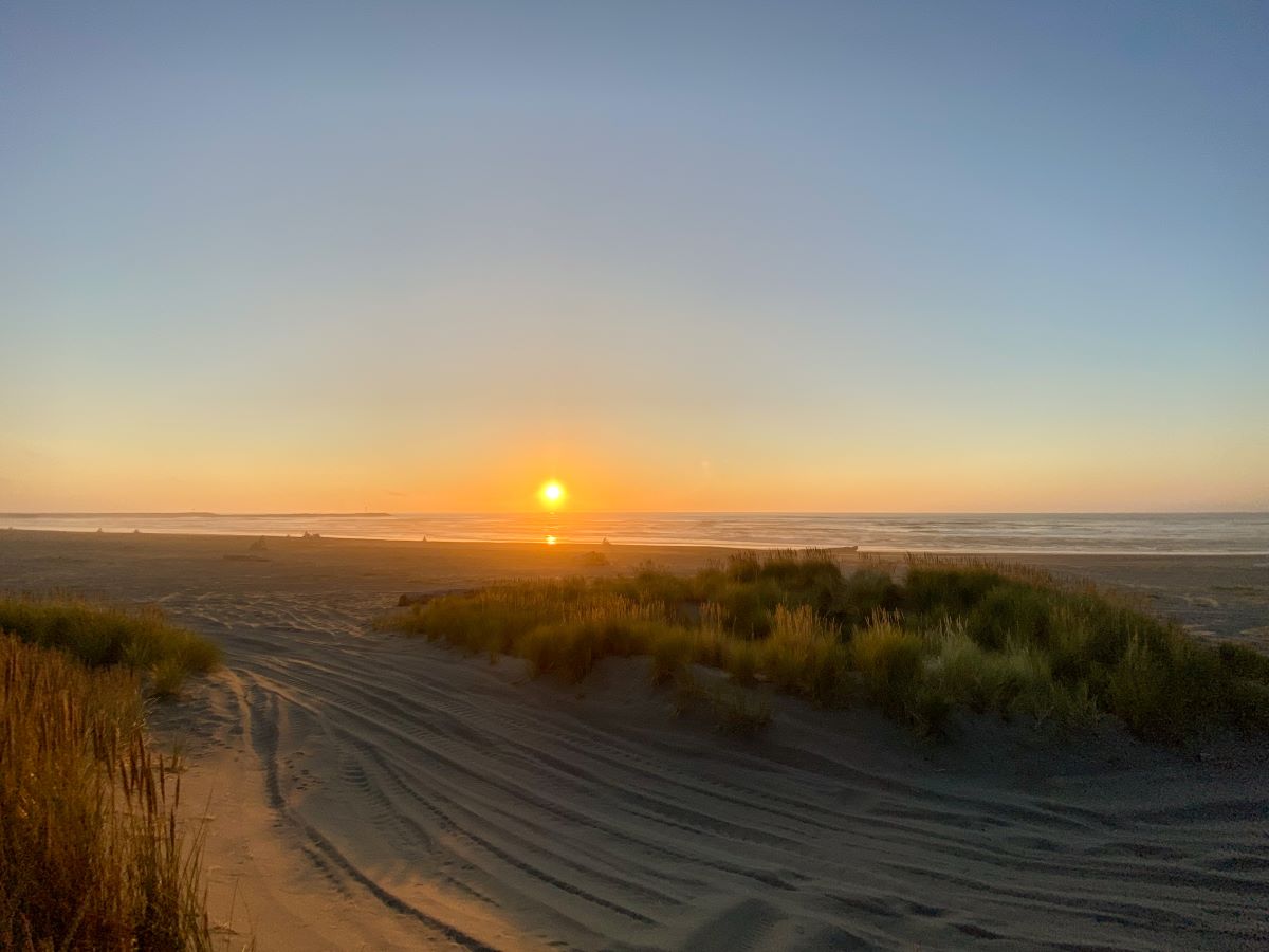 1-Day Redwood National Park Itinerary & Guide - Engineer to Explore