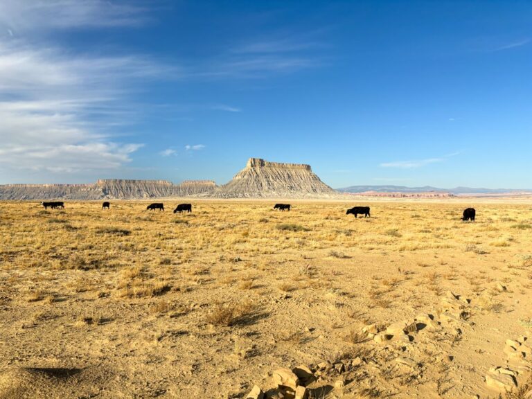 How to Visit Factory Butte and the Moonscape Overlook in Hanksville ...