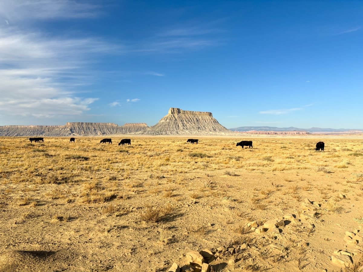 How to Visit Factory Butte and the Moonscape Overlook in Hanksville ...