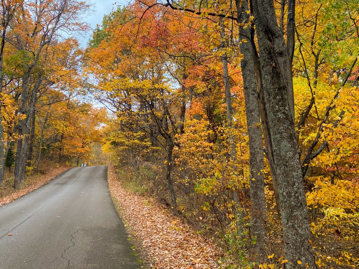 13 Top Things to Do in Brown County, Indiana (From a Local!) - Engineer ...