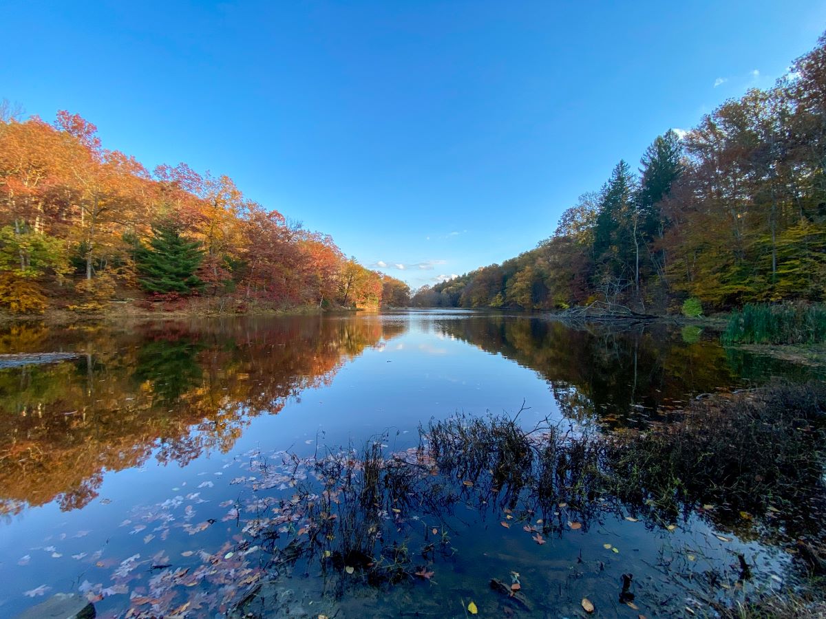 13 Top Things to Do in Brown County, Indiana (From a Local!) - Engineer ...