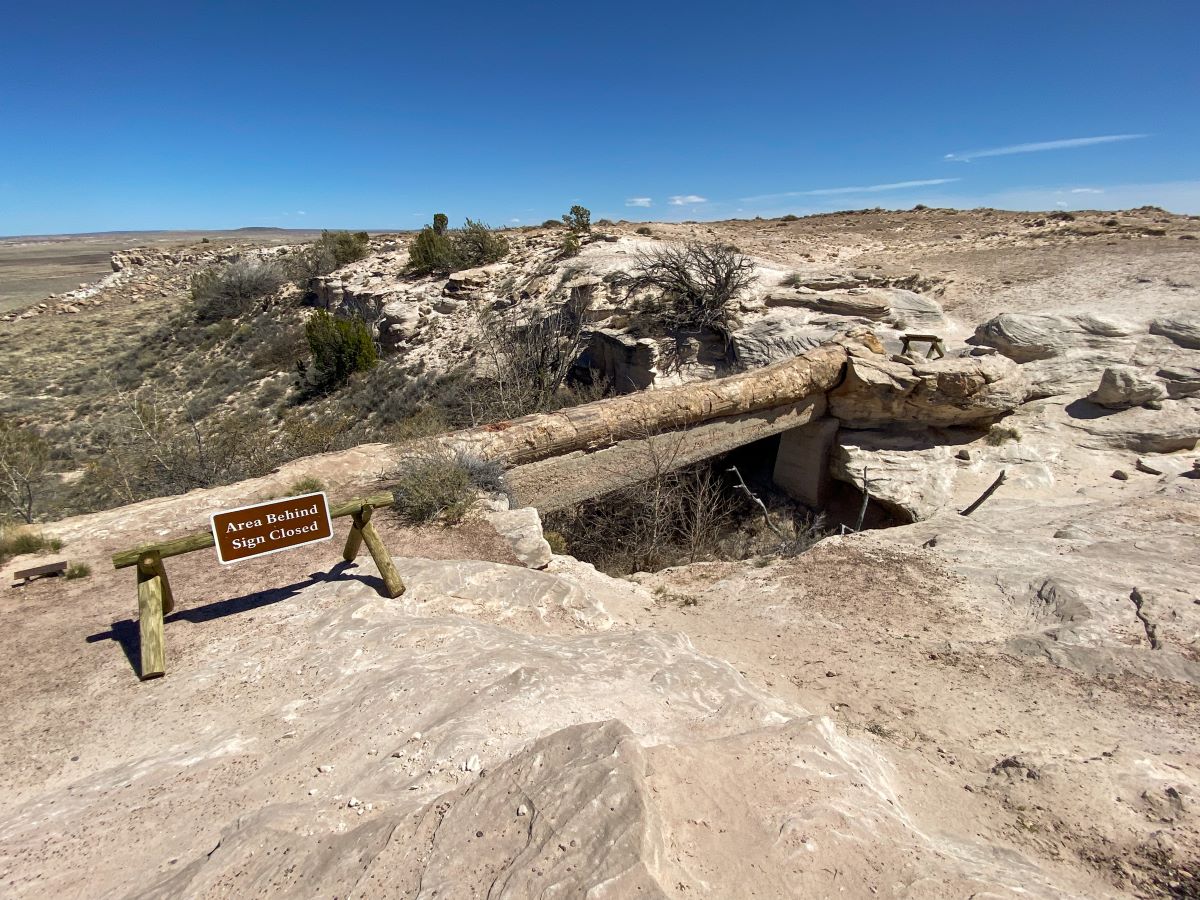 Petrified Forest National Park: The Ultimate Itinerary & Guide ...